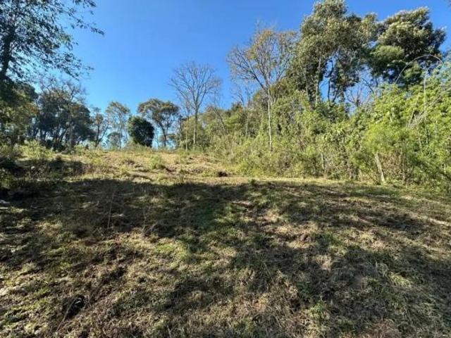 Área Exclusiva em Campo Magro – 29.000 m² com Lago e Excelente Localização