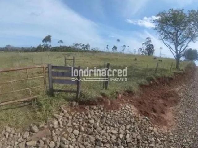 Área em Monte Das Oliveiras, Santo Antônio Da Platina/PR de 10m² à venda por R$ 1.193.000,00