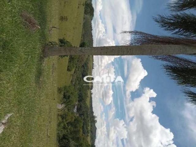 Área em Nossa Senhora do Carmo, Arujá/SP de 0m² à venda por R$ 3.400.000,00