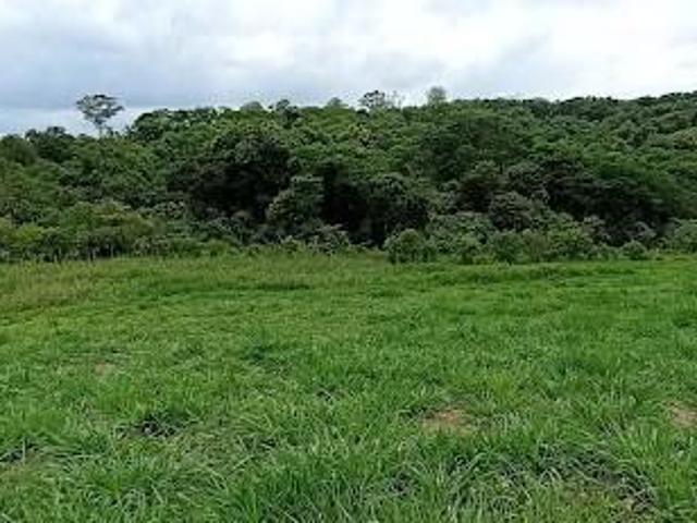 Área em Água Preta Jarinu