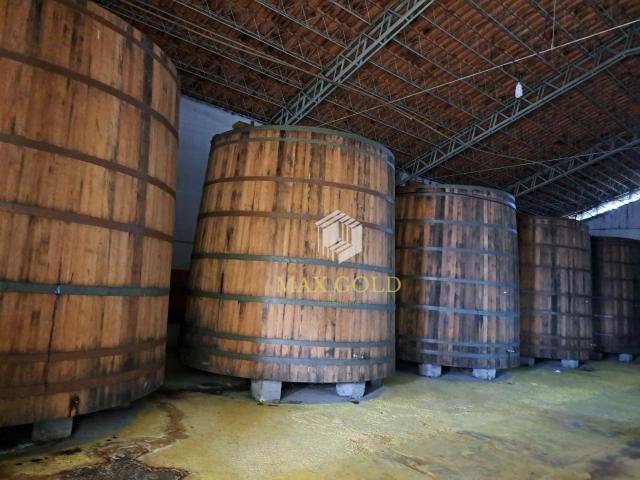 Área em, Cunha/SP de 0m² à venda por R$ 7.499.900,00