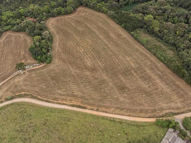Área em Campo Largo 40.000m²