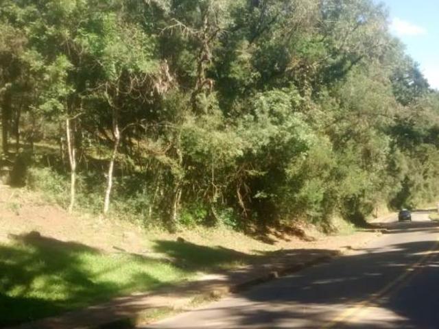 Área em Canela