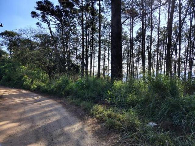 Área em Centreville, Cotia/SP de 0m² à venda por R$ 18.560.000,00