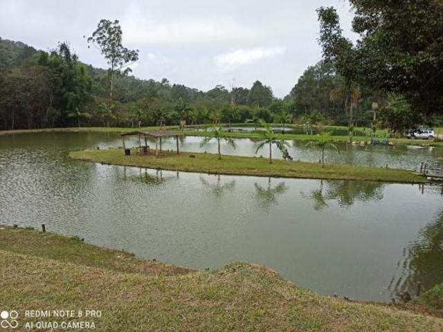 Área em Chácara São Lucido, Mauá/SP de 0m² à venda por R$ 13.000.000,00