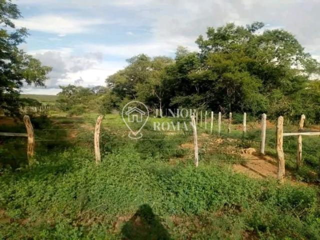 Área em, Cristópolis/BA de 0m² à venda por R$ 1.399.900,00