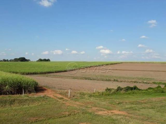 Área em, Elias Fausto/SP de 0m² à venda por R$ 50.820.000,00