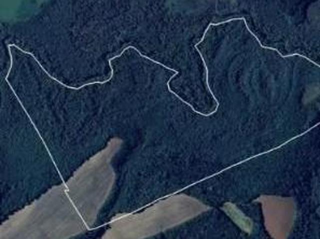 Área em Fazenda Velha, Araucária/PR de 242000m² 1 quartos à venda por R$ 3.000.000,00