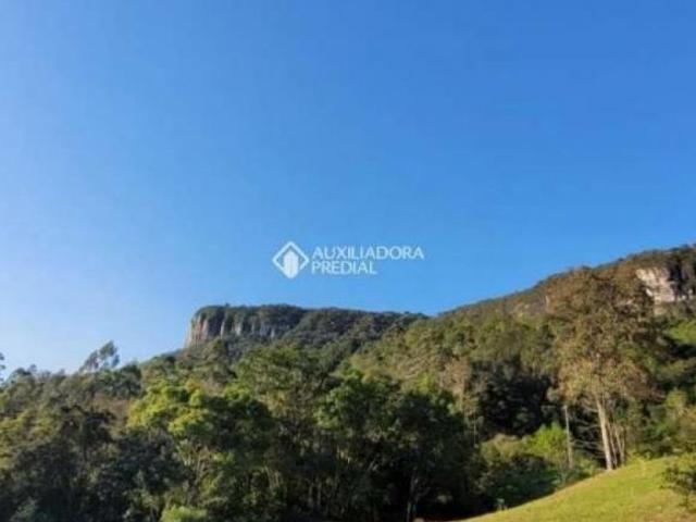 Área em Gramado 16 ha