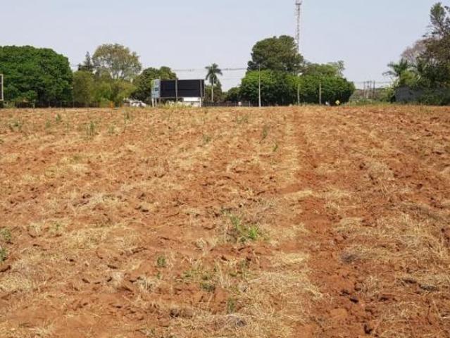 Área em, Holambra/SP de 0m² à venda por R$ 11.000.000,00