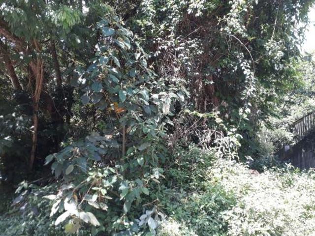 Área em Jardim Colibri, Cotia/SP de 0m² à venda por R$ 795.000,00