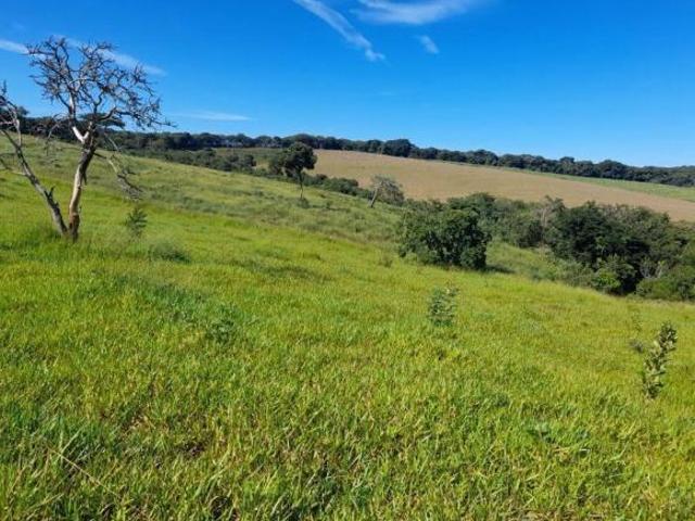Área em Jardim Eldorado, Lavras/MG de 0m² à venda por R$ 8.800.000,00