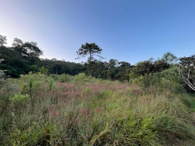 Área em Jardim Meny, São Roque/SP de 0m² à venda por R$ 1.200.000,00
