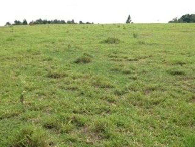 Área em Jardim Nova América, Campinas/SP de 0m² à venda por R$ 8.999.000,00