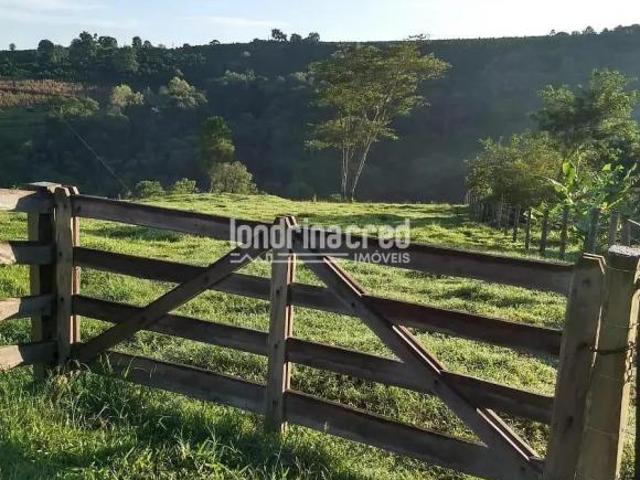 Área em Lavrinha, Pinhalão/PR de 10m² à venda por R$ 450.000,00
