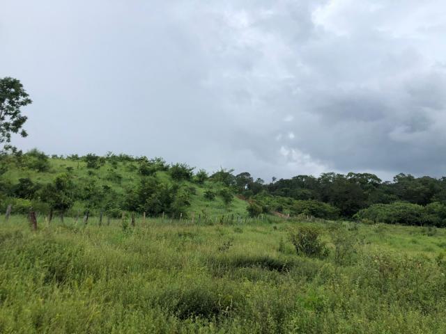 Área em Rural, Padre Bernardo/GO de 0m² à venda por R$ 1.999.000,00