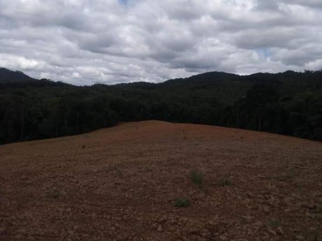 Área em São Jose dos Pinhais