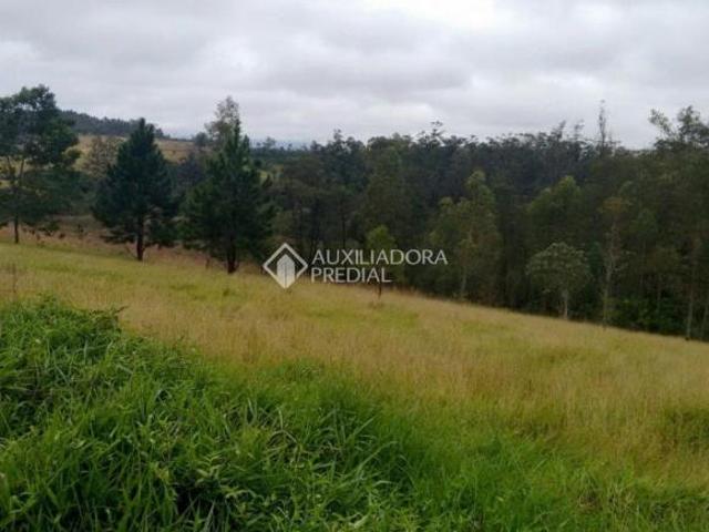 Área em São Leopondo RS