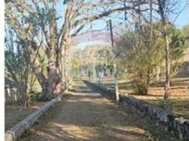 Área em Santa Isabel: Natureza e Comodidade