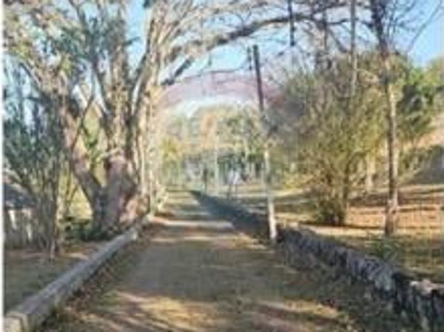 Área em Santa Isabel: Natureza e Comodidade