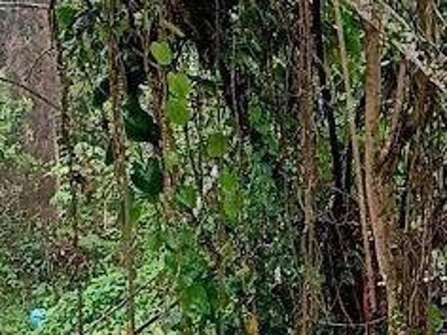 Área em Taiacupeba, Mogi das Cruzes/SP de 0m² à venda por R$ 424.444,00