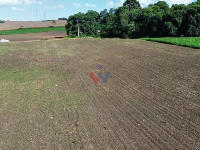 Área em Tranqueira, Almirante Tamandare/PR de 19400m² à venda por R$ 1.520.000,00