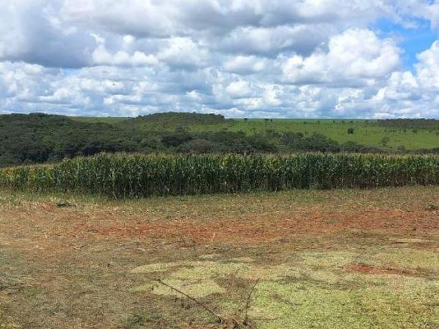 Área Escriturada e Registrada no PAD DF, São 22 Hectares sendo usada para plantação