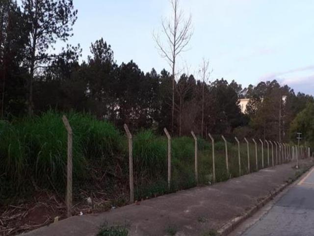 Área Estratégica de 8.818 m² às Margens da Rodovia Castelo Branco | Excelente Oportunidade para Inve