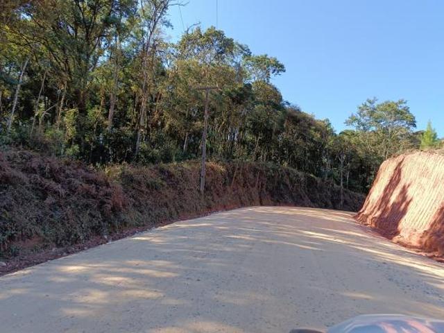 ÁREA RURAL A VENDA 20.044 m2 FRENTE PARA RODOVIA PR 090 AREA DE VEGETAÇÃO