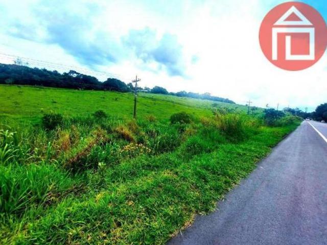 Área Industrial à venda, 75000 m² por R$ 35.000.000 Araras dos Mori Bragança Paulista/SP