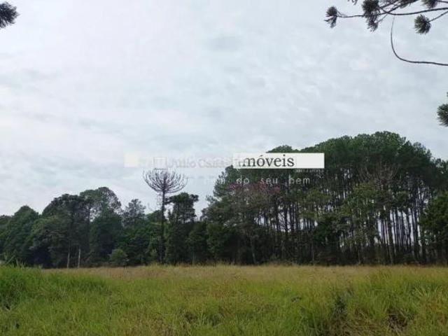 Área Industrial á venda, 106.100,00m2 Jardim Bela Vista, Itapetininga