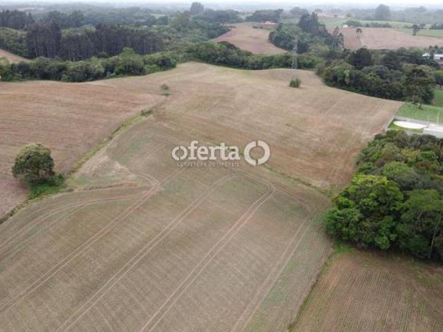 Área Industrial em Campo Largo