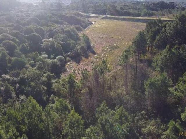 Área industrial em São José dos Pinhais|73.418m²