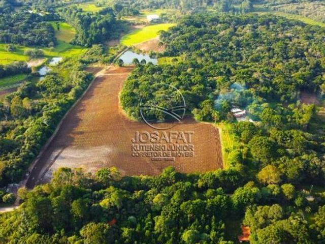 Área Industrial para Venda em São José dos Pinhais, Zona Rural