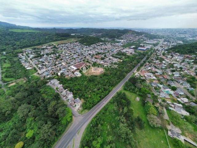 Area livre para edificação comercial ou residencial de 10.142 m2, com 83m de testada para a br 116