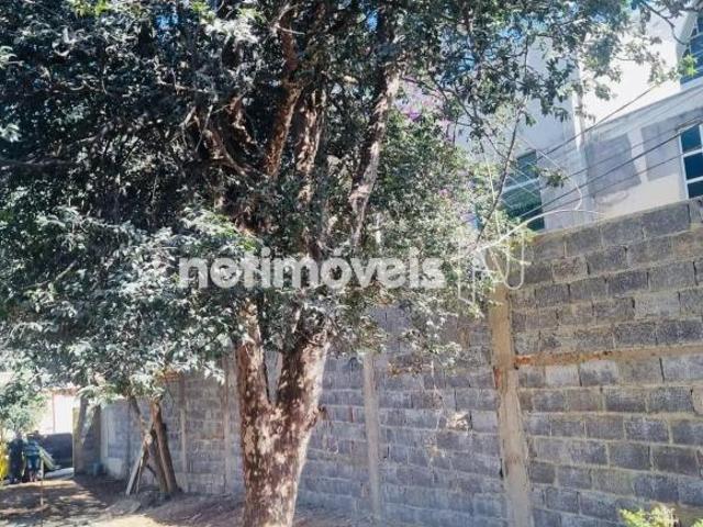 Área: Lote padrão de 506,38m²