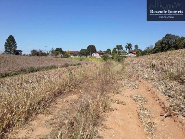 Área para condomínio de chácaras à venda Santa Nely Campo Largo/PR