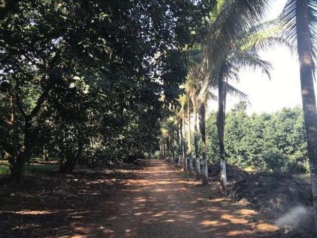 Área para condomínio em Jardinópolis | Aqui na Rosa e Rangel Consultoria e Assessoria Imobiliária
