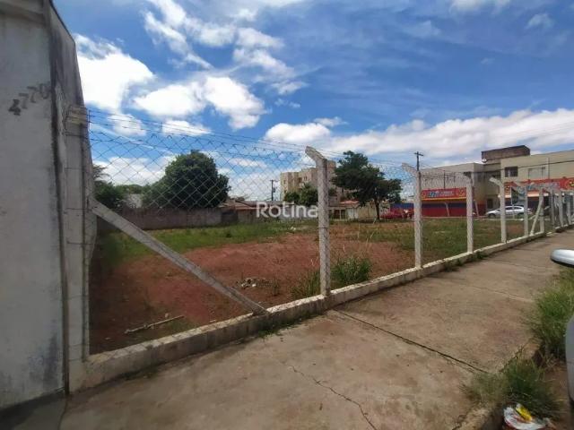 Área para alugar, Umuarama Uberlândia/MG Rotina Imobiliária