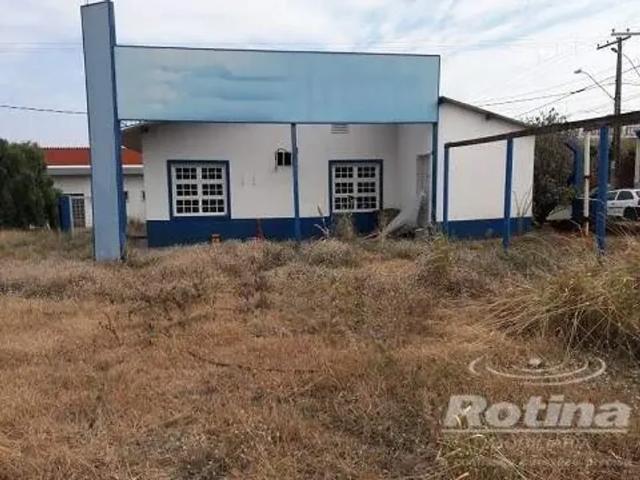 Área para alugar, Umuarama Uberlândia/MG Rotina Imobiliária