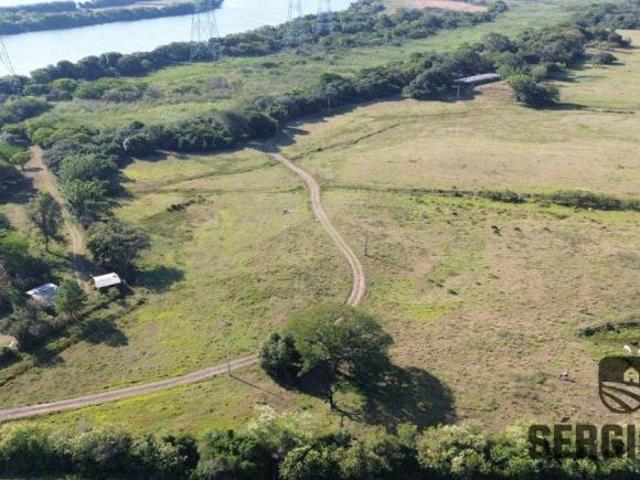 AREA PARA ARROZ OU PECUÁRIA EM TRIUNFO RS