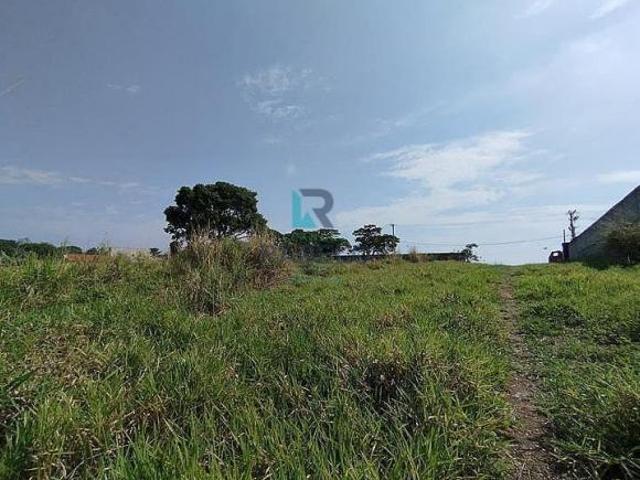 ÁREA PARA EMPREENDIMENTO AO LADO DA VIA DUTRA EM PINDA SP