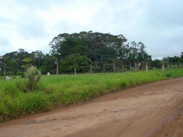 área para empresa