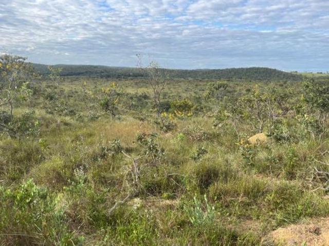 FAZENDA AREA 186HA PLANA LUZIANIA