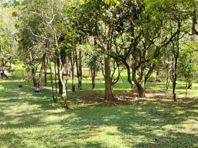 Área para incorporar 45.000m²