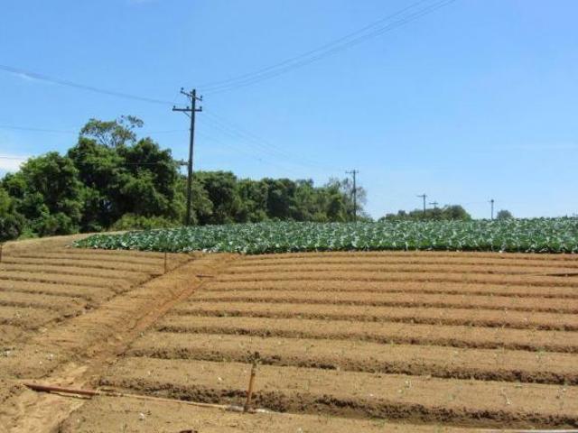 Área para loteamento ou incorporações 822.000m² em Cotia, SP