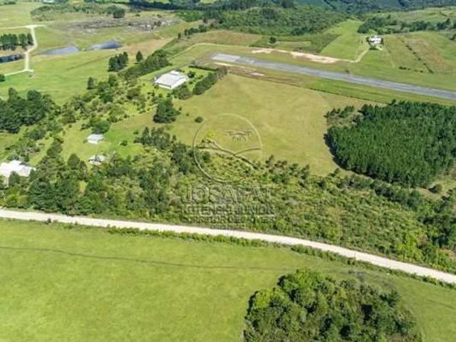 Área para Venda em Balsa Nova, Zona Rural