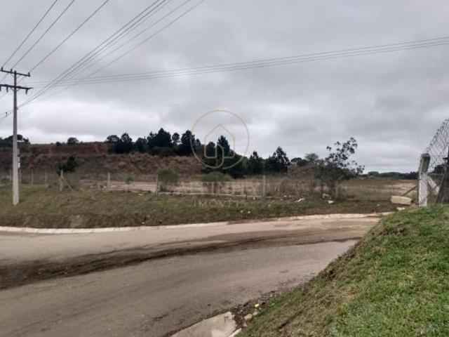 Área para Venda em Fazenda Rio Grande, Estados
