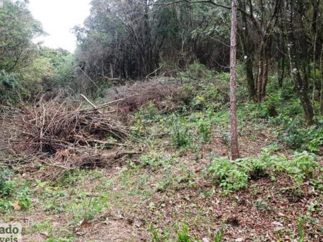 Área para Venda em Itaara, Rural