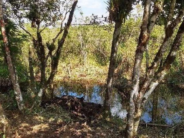 Área para Venda em Itanhaém, Chácaras Lucel